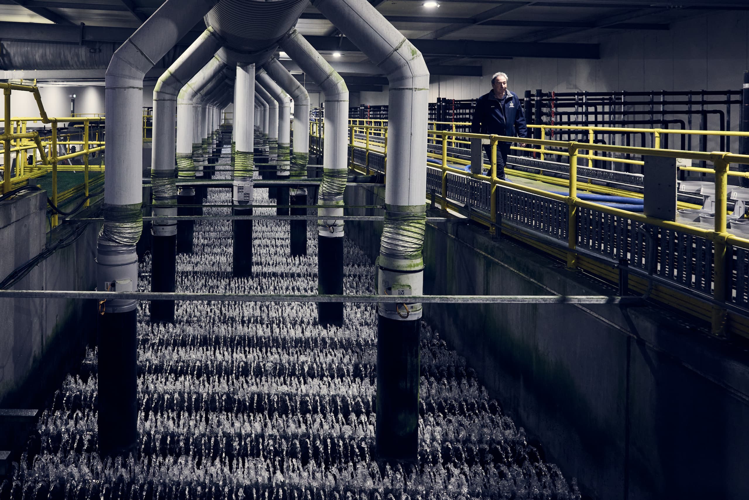 Lonnavale Broodstock RAS Facility - Huon Aqua